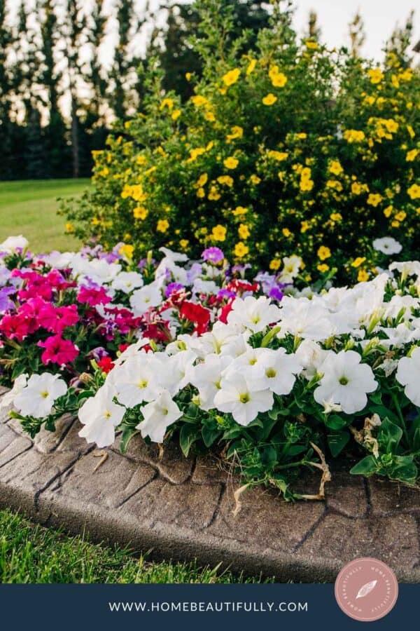 5 Essential Fundamentals of Landscaping | Home Beautifully