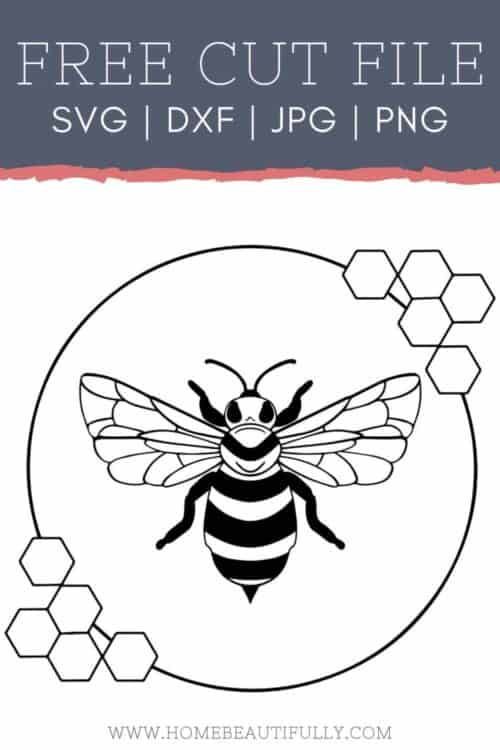 Download This Clever Free Bee SVG File! Also as DXF, PNG, and JPG!