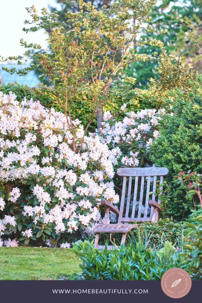 Cheap Simple Front Yard Landscaping Ideas on a Budget