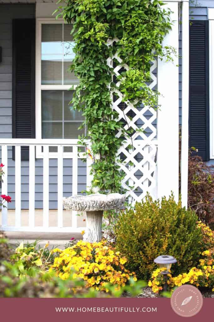 Cheap Simple Front Yard Landscaping Ideas on a Budget