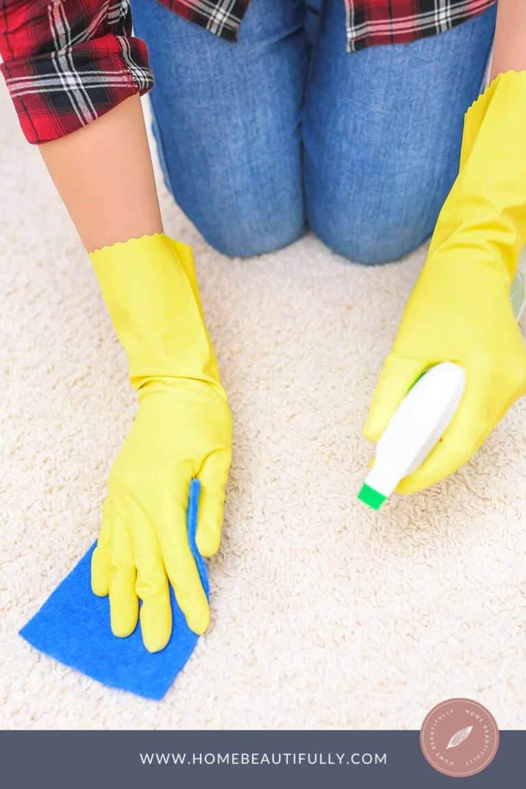Ultimate Carpet Cleaning DIY: How to Clean Carpet Like a Pro!