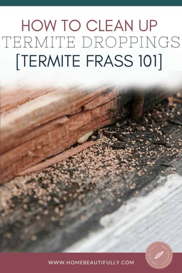 How to Clean Up Termite Droppings: Drywood Termite Frass 101